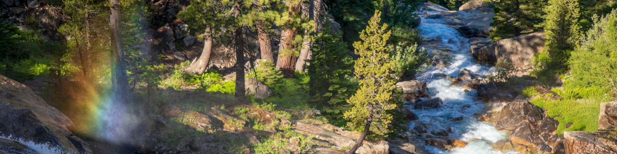 Things To Do In Fresno - University Inn Fresno California